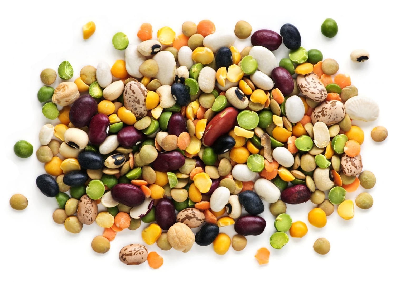 The Good Pulse Co. - Functional Ingredients from Pulses